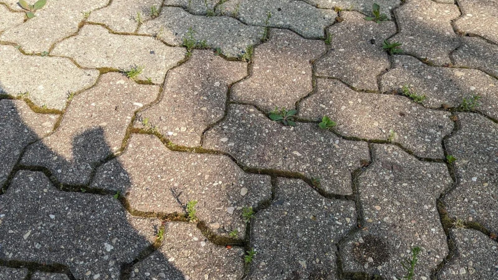 Concrete For Pavers NZ: Best Mixes, Costs, And Tips
